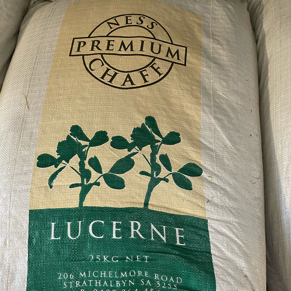 Lucerne Chaff Rough Cut 25kg – MarlboroughPark